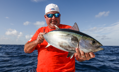 Hump Tuna | Multimedia | floridasportfishing.com