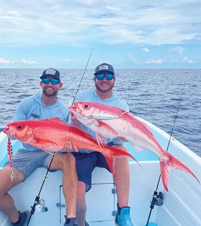 Species Spotlight: Queen Snapper | OffShore | floridasportfishing.com