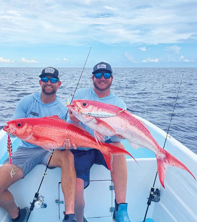 Species Spotlight: Queen Snapper | OffShore | floridasportfishing.com