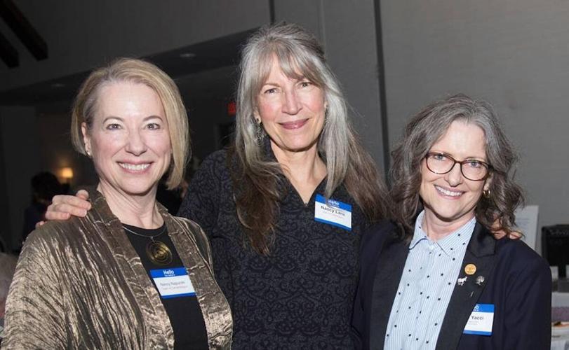 Ontario County Democrats look to make splash this fall; raise $25,000 ...