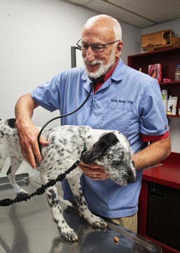 Dr. Kevin Wolfer retires from Lyons Veterinary Clinic | News | fltimes.com