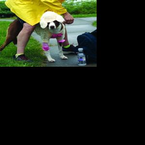 A barkin’ good time — Supporters of dog park raise $3,500 in first ...