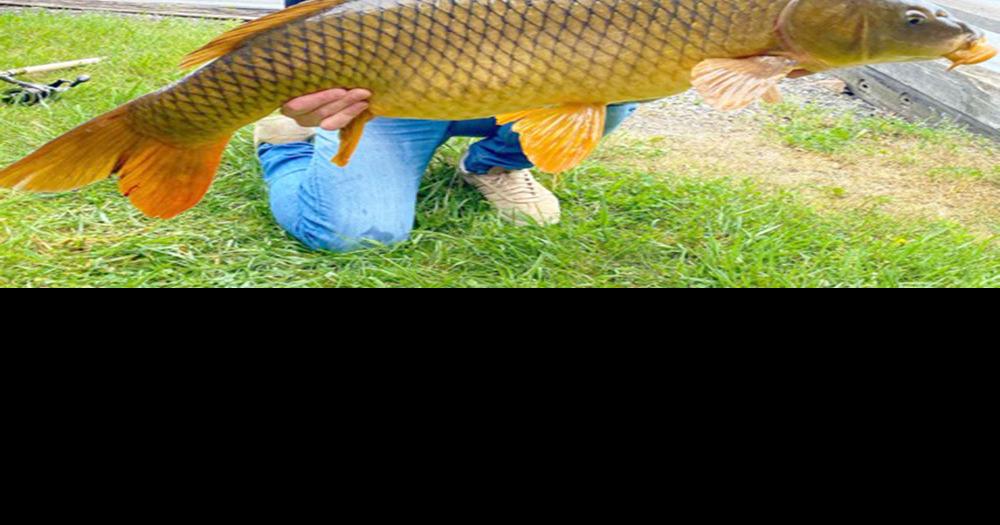 OUTDOORS: Record rock bass, gigantic carp caught from area waters ...