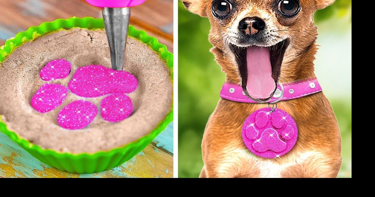 Cute DIYs And Hacks For Pet Lovers 🐾 💖 | Videos | fltimes.com