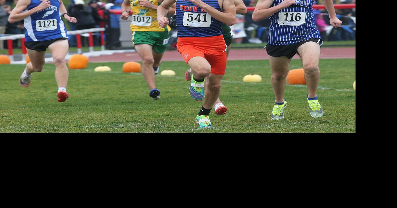 HIGH SCHOOL CROSS COUNTRY: Finger Lakes runners fare well at state ...