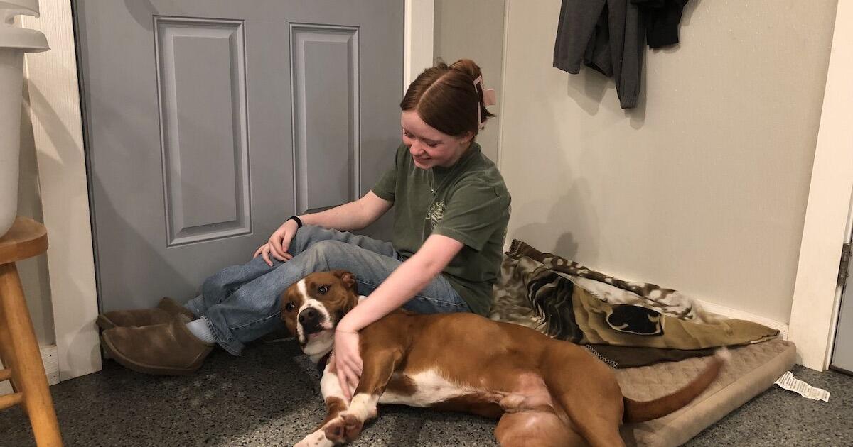MAKING A DIFFERENCE: Humane Society of Yates County's Shelter of Hope ...