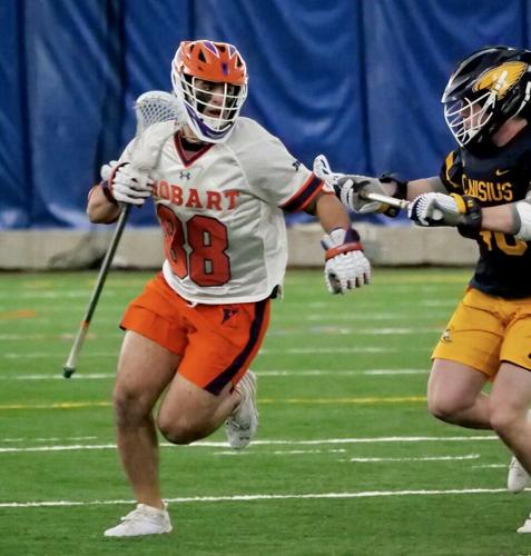 MEN'S LACROSSE: Hobart readies for Bucknell | Sports | fltimes.com
