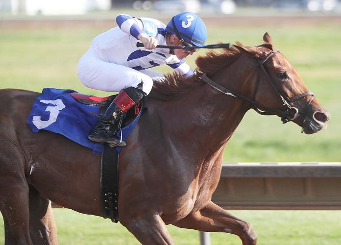 HORSE RACING: Vent Calentine romps in $50k Jack Betta Be Rite Stakes ...