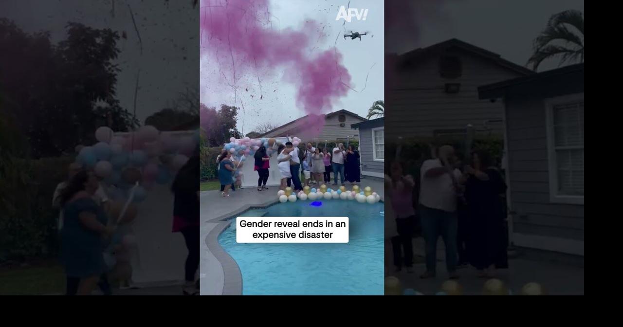 Gender reveal ends in an expensive disaster | | fltimes.com