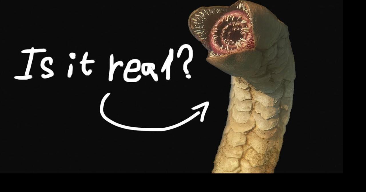 The Insane Biology Of the Sand Worm 🪱 | Videos | fltimes.com