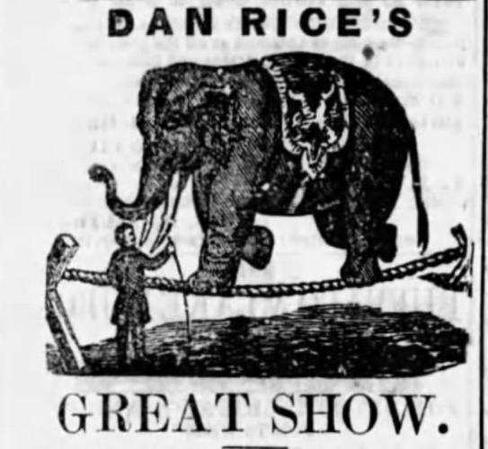 LOOKING BACK: The day the elephant would not cross the bridge ...