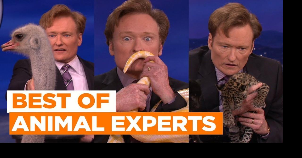 Best Of Animal Experts: Burmese Python & Anteater | CONAN on TBS ...