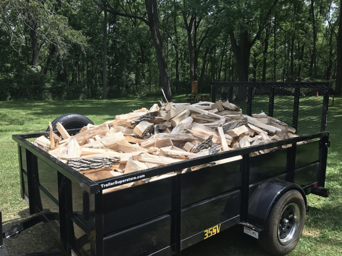 TROUBLE WITH TREES, Part 2 — Shade Tree Committee's 'unsung heroes ...