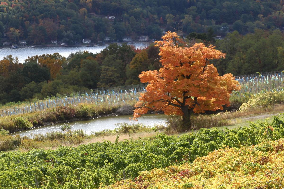 Photo gallery: Fall foliage in the Finger Lakes | Photos | fltimes.com