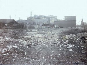 LOOKING BACK: Dealing with garbage in Geneva | Lifestyle | fltimes.com