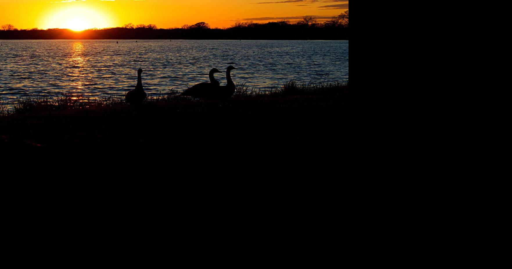 Seneca Lake's beauty inspires new environmental group | News | fltimes.com