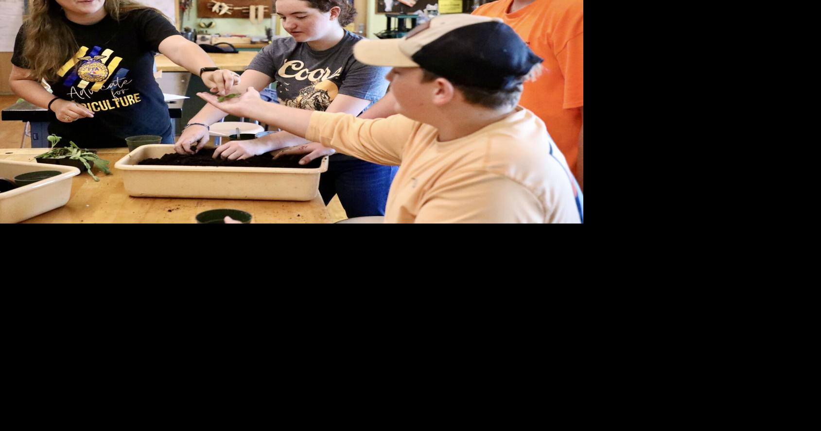 New BOCES programs expand opportunities | News | fltimes.com