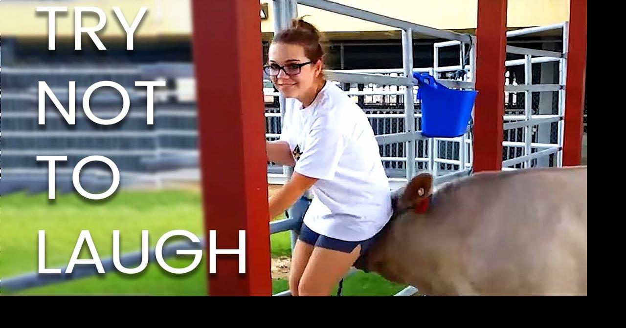 [2 HR] TRY NOT TO LAUGH Challenge 🤣 🤣 Best of the WORST FAILS!! Funny ...