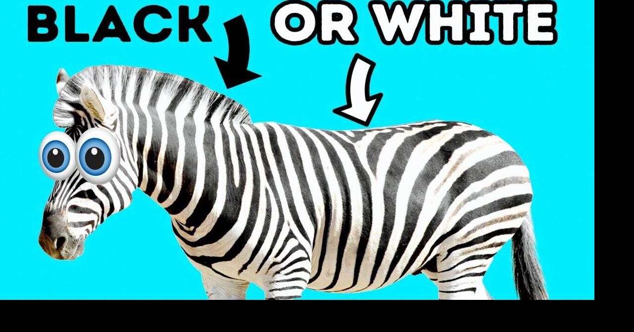 100+ Wildly Interesting Animal Facts You Haven't Heard Before | Videos ...