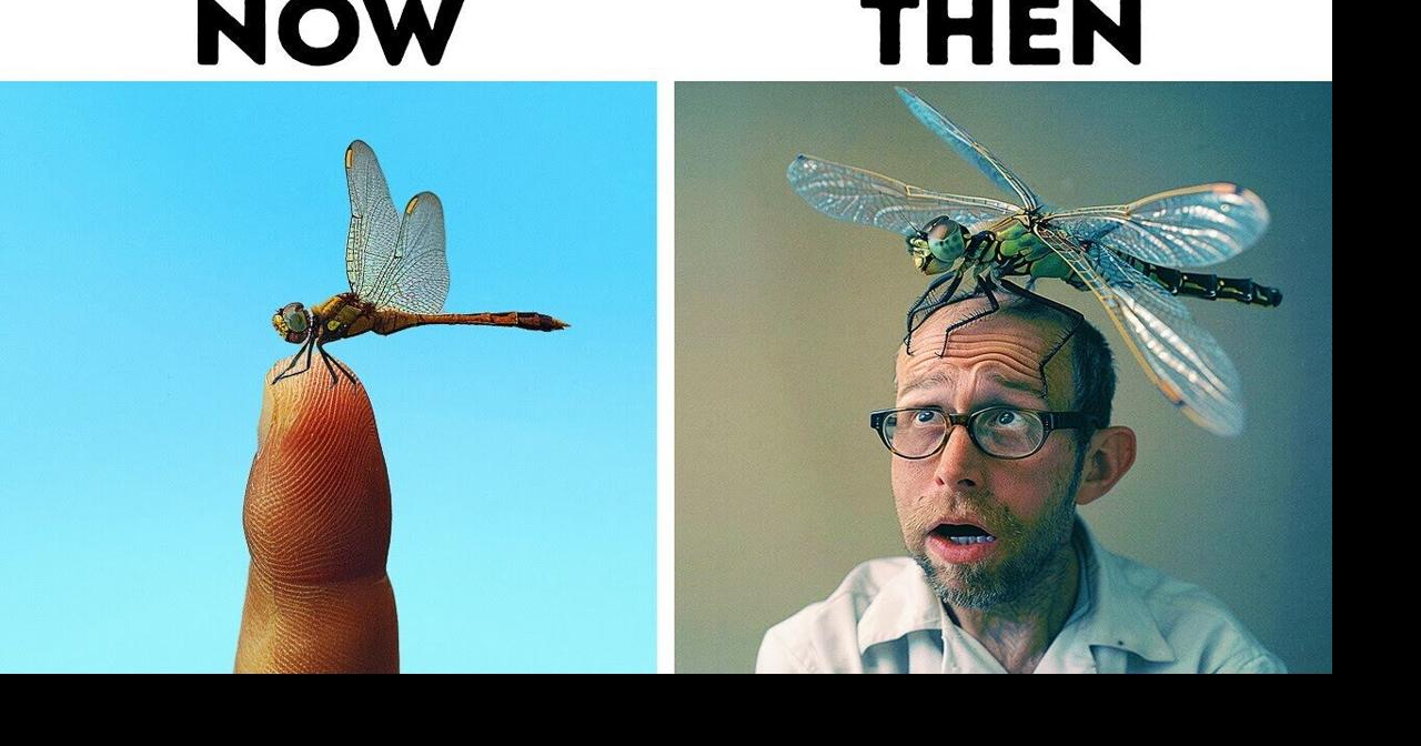 Intriguing Animal Facts You Won't Find in a Textbook | Videos | fltimes.com