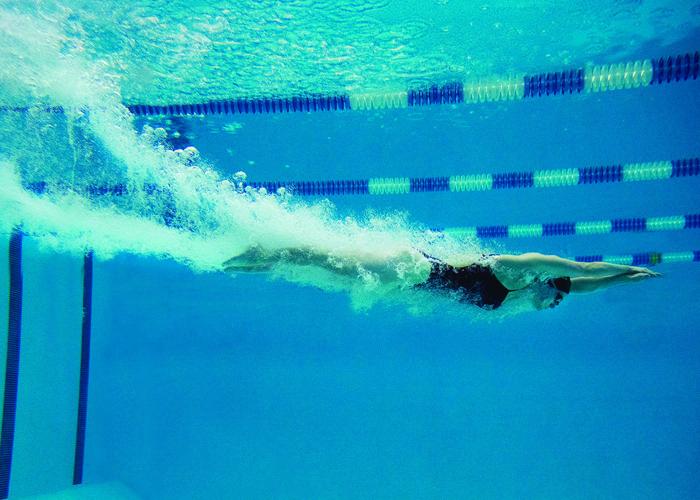 AREA COLLEGES: William Smith's Conboy swims in NCAAs | Sports | fltimes.com