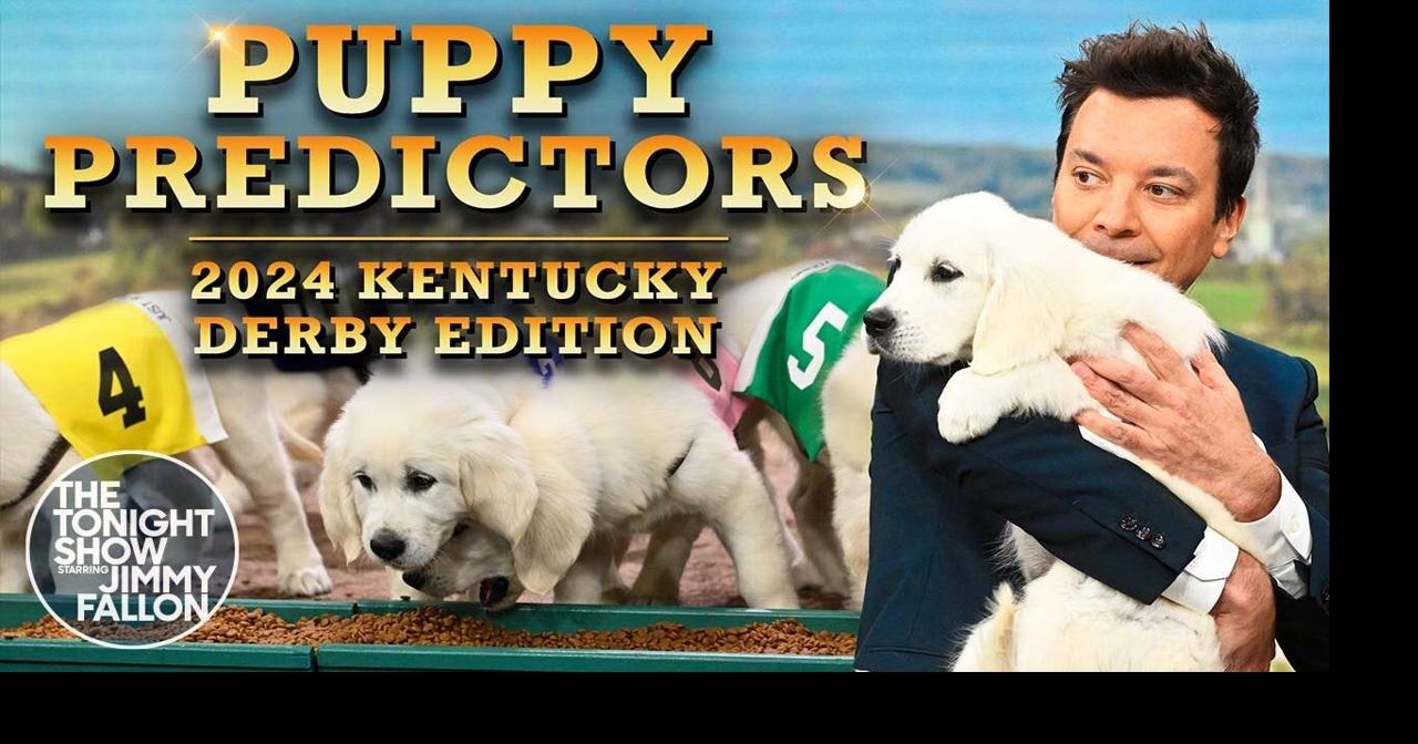 Puppies Predict the Winner of the 2024 Kentucky Derby | The Tonight ...