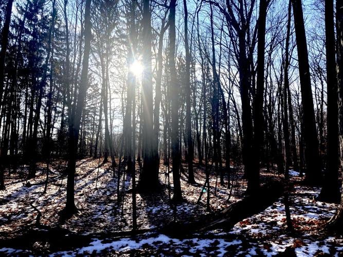 Residents get chance to weigh in on potential Loomis Woods sale in ...