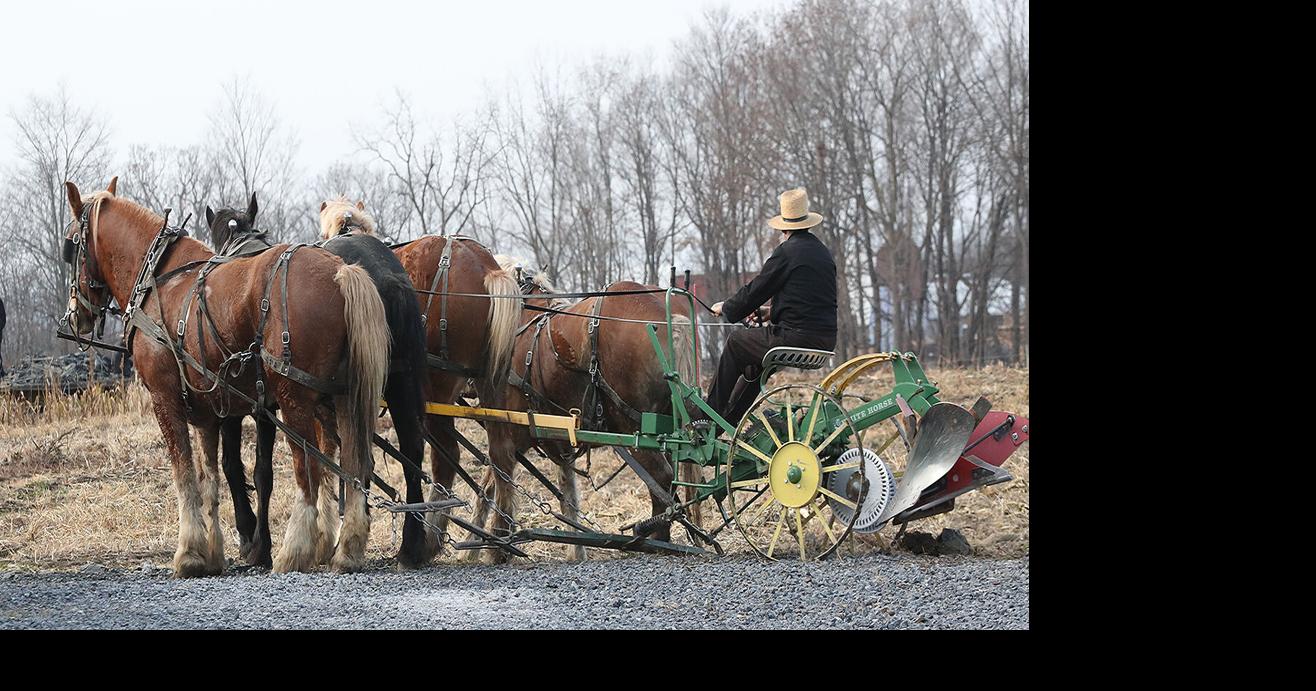 Farming the old-fashioned way | Photos | fltimes.com