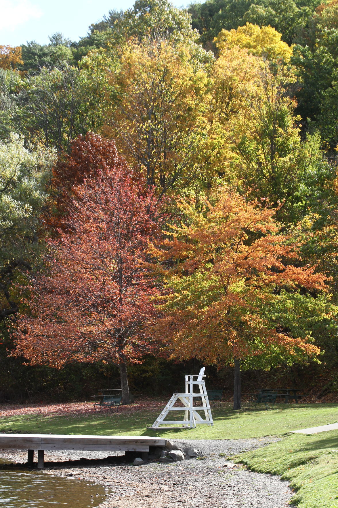 Photo gallery: Fall foliage in the Finger Lakes | Photos | fltimes.com