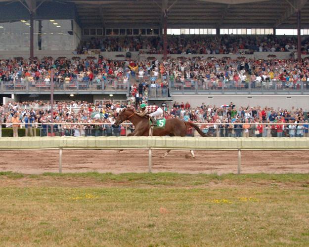 HORSE RACING: FLGR to honor Funny Cide’s memory and career on 17th ...