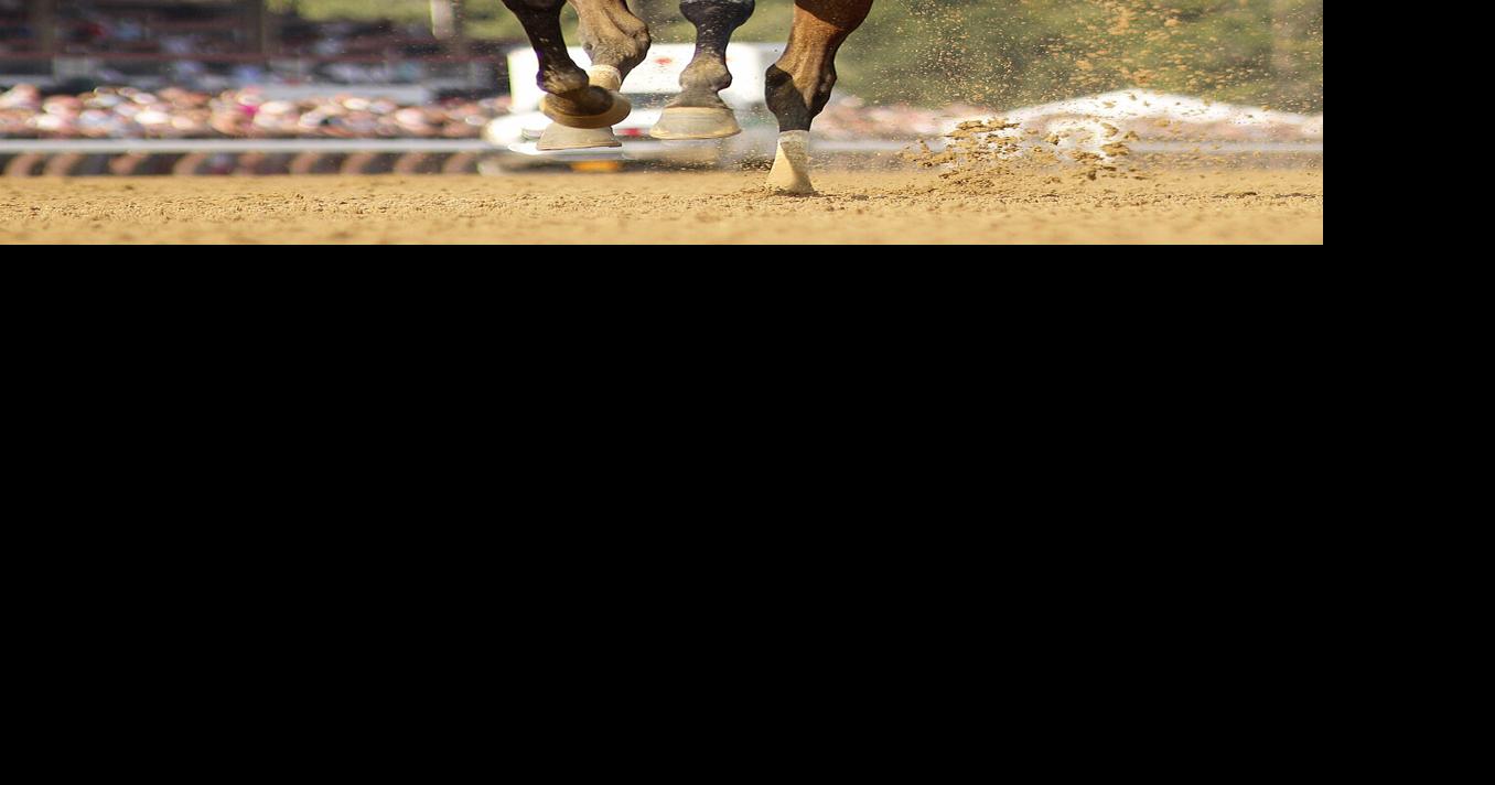 A Jim Dandy of a race | Photos | fltimes.com