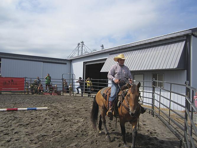 HOW TO TAME A WILD MUSTANG: Yates County couple helps find new homes ...