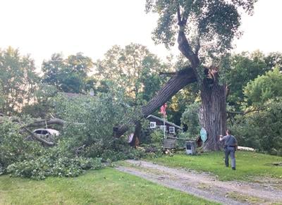Effort underway to save what's left of historic scythe tree | News ...