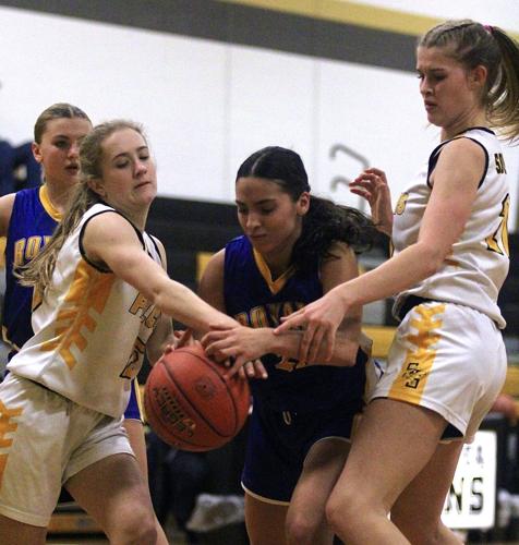 GIRLS BASKETBALL: South Seneca, Romulus keeping the ember of rivalry ...