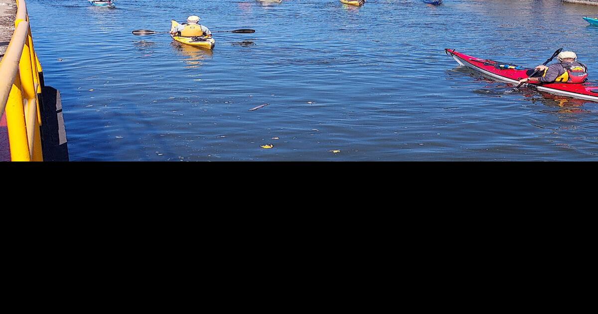 Colorado kayaking club paddling canals around region | News | fltimes.com