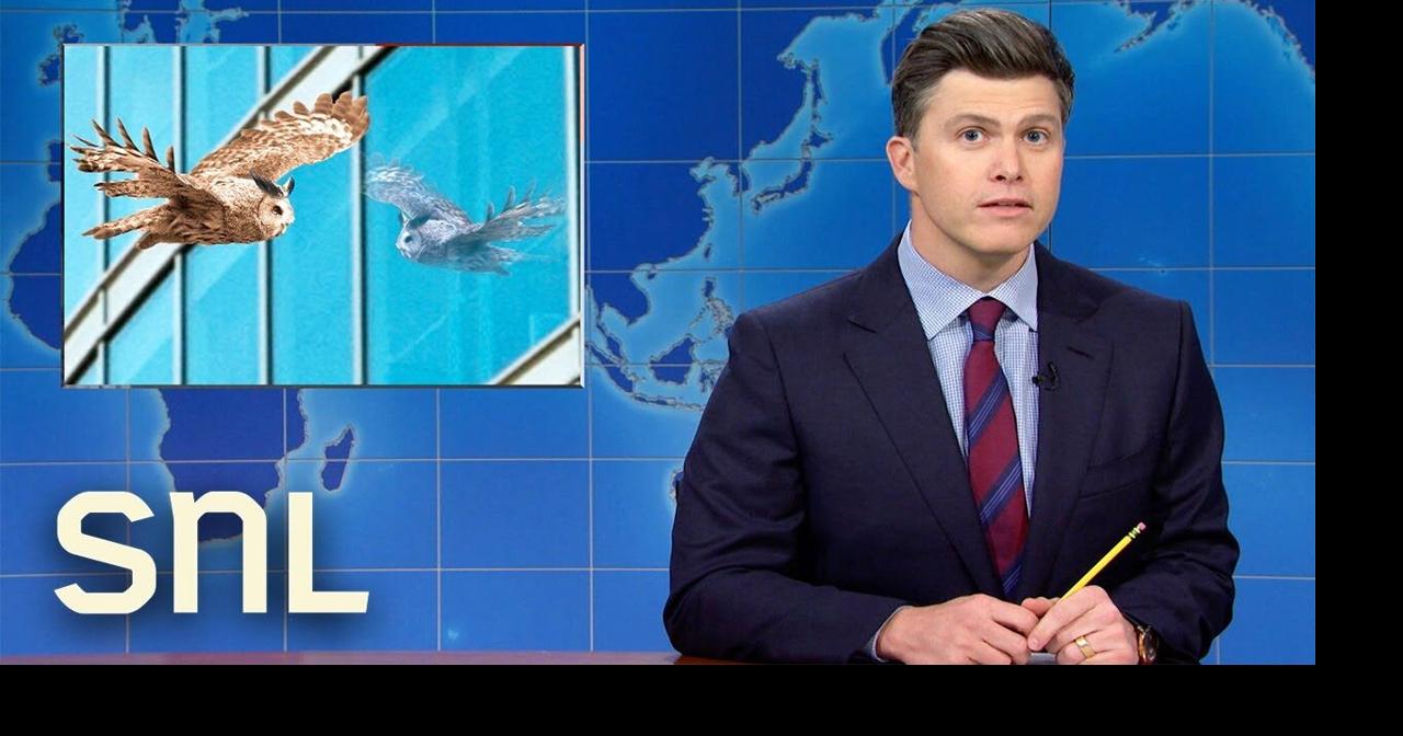 Weekend Update: Flaco the Owl Dies, KFC Launches Fried Chicken Pizza ...