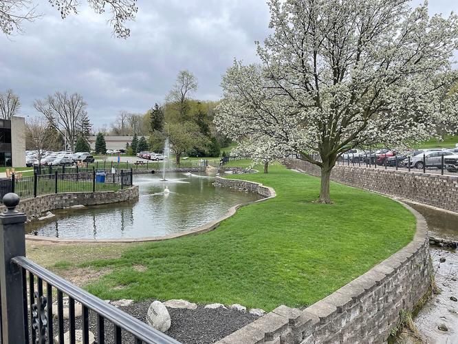 Volunteer extraordinaire: Higbee keeps Clifton Springs hospital grounds ...