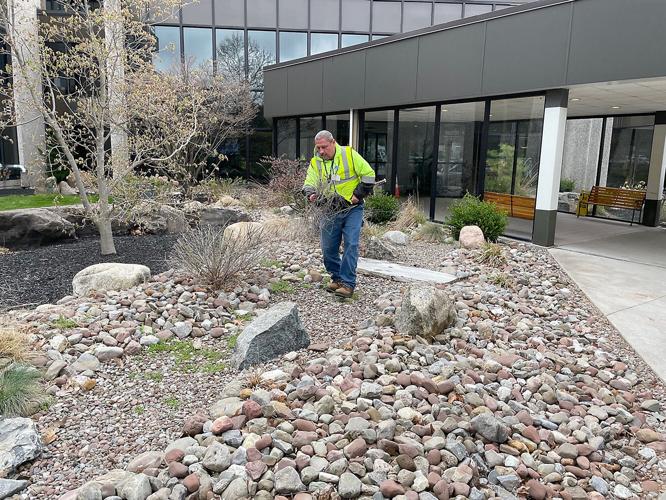 Volunteer extraordinaire: Higbee keeps Clifton Springs hospital grounds ...