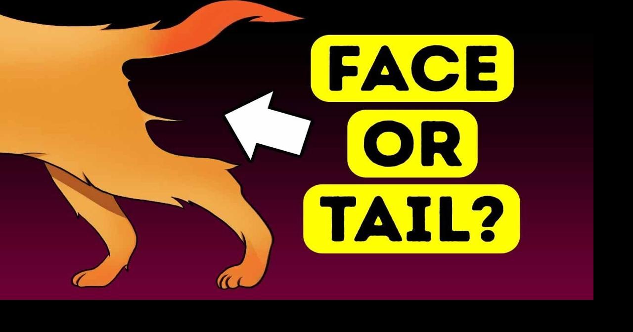 70+ Optical Illusions Guaranteed to Confuse You | Videos | fltimes.com