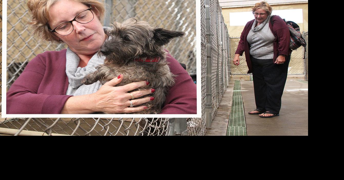 BIGGER PICTURE: 'Naples 85' — finally happy tails and tales | News ...