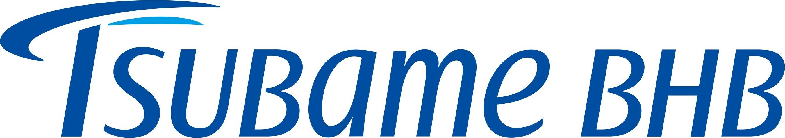 Tsubame BHB's ammonia synthesis facilities to INPEX's Kashiwazaki ...