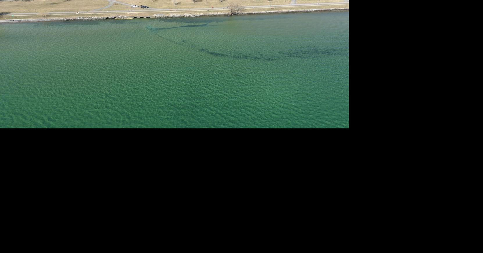 DEC cleanup of Geneva oil spill completed, investigation ongoing | News ...