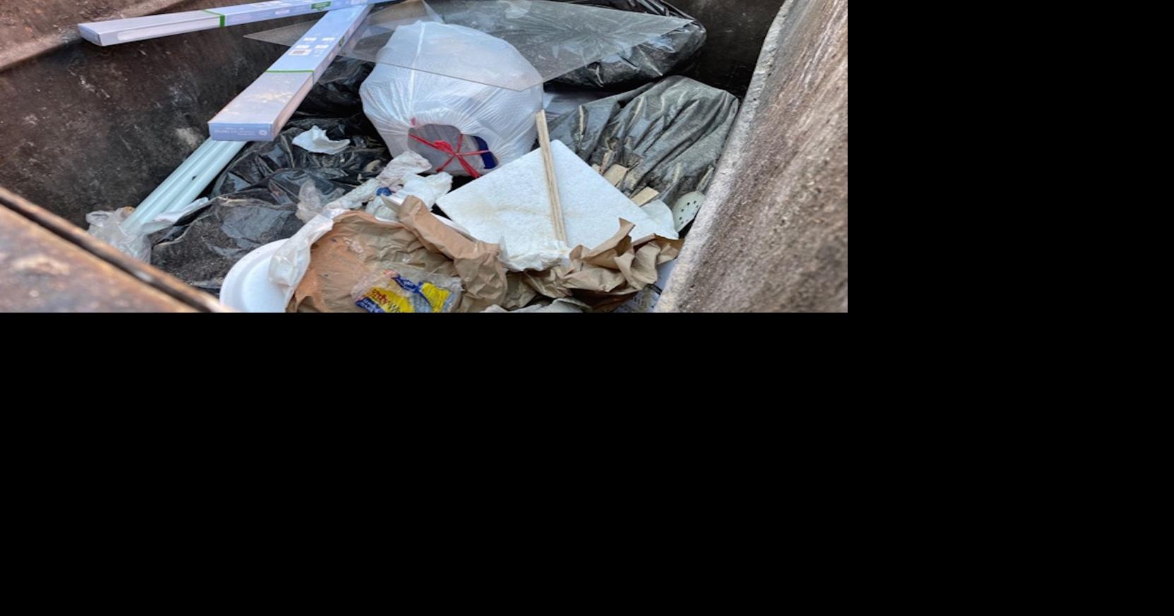 A deeper dive into Geneva’s trash | News | fltimes.com