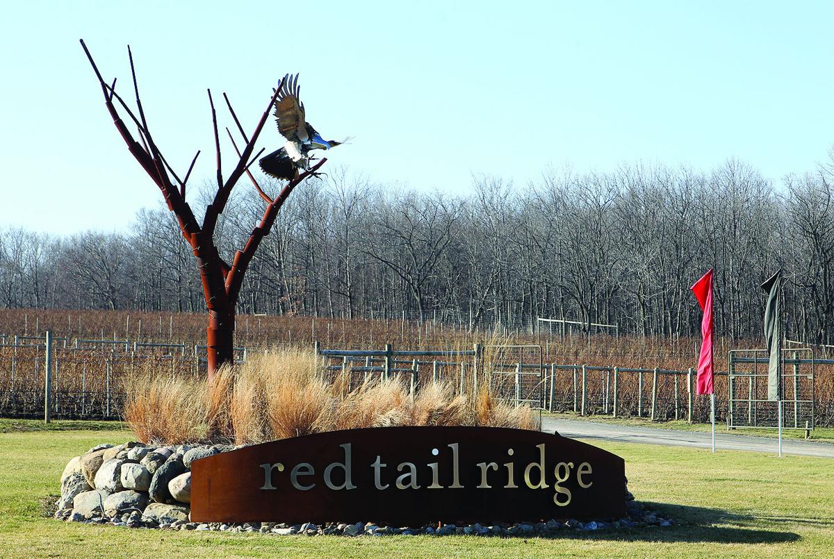 BUSINESS OF THE WEEK: Red Tail Ridge Winery | Business | fltimes.com