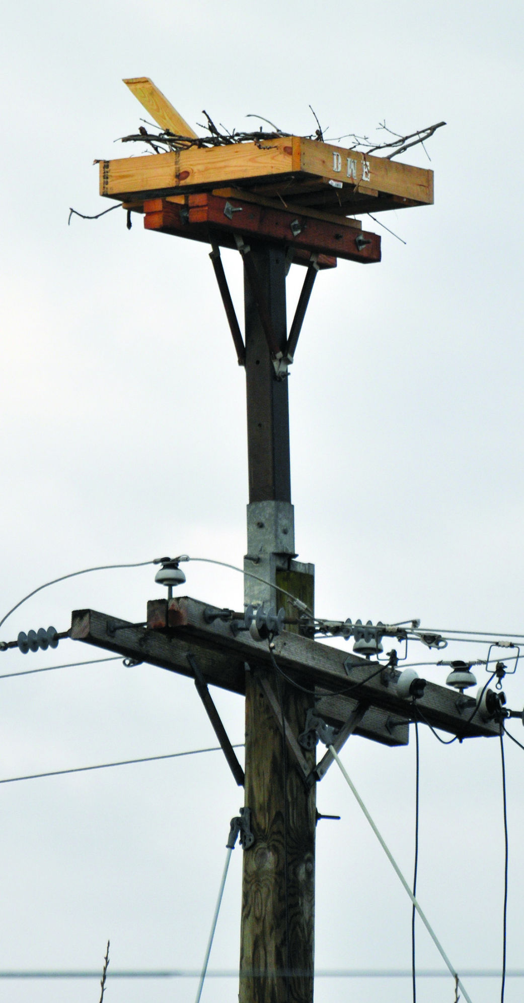 LABOR OF LOVE: Power crews install platforms for osprey nests ...