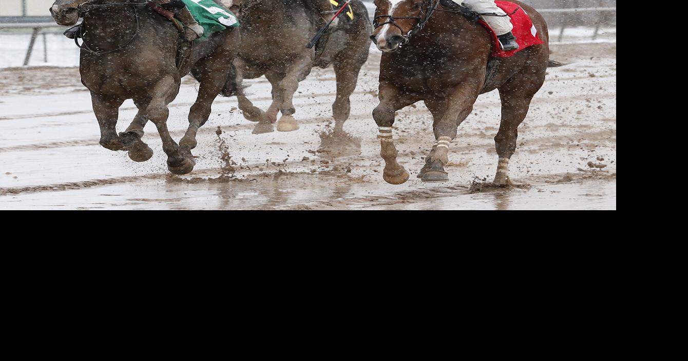 HORSE RACING: Victory Hall and Muscle Shoals win two-old stake races at ...