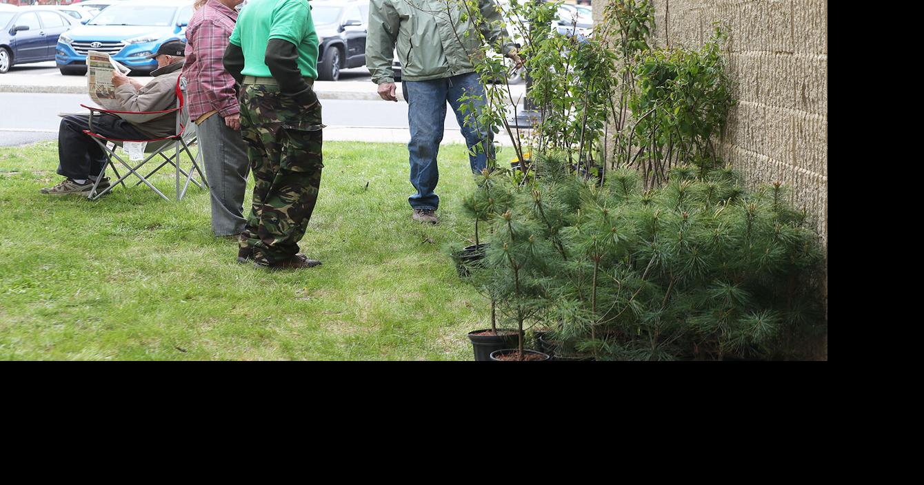 TROUBLE WITH TREES: Part 3 — Data-driven tree lovers | News | fltimes.com
