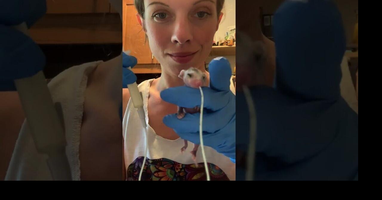 This Transformation Is Unreal | The Dodo | Pets | fltimes.com