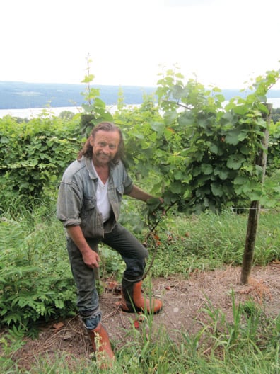 Faces of the Finger Lakes Wine Industry: Sam Argetsinger | | fltimes.com