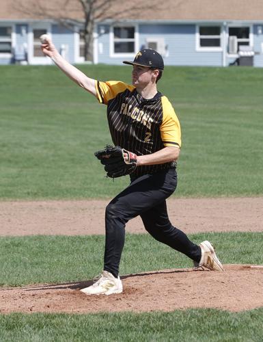 HIGH SCHOOL BASEBALL: Finger Lakes West all-stars announced | Sports ...